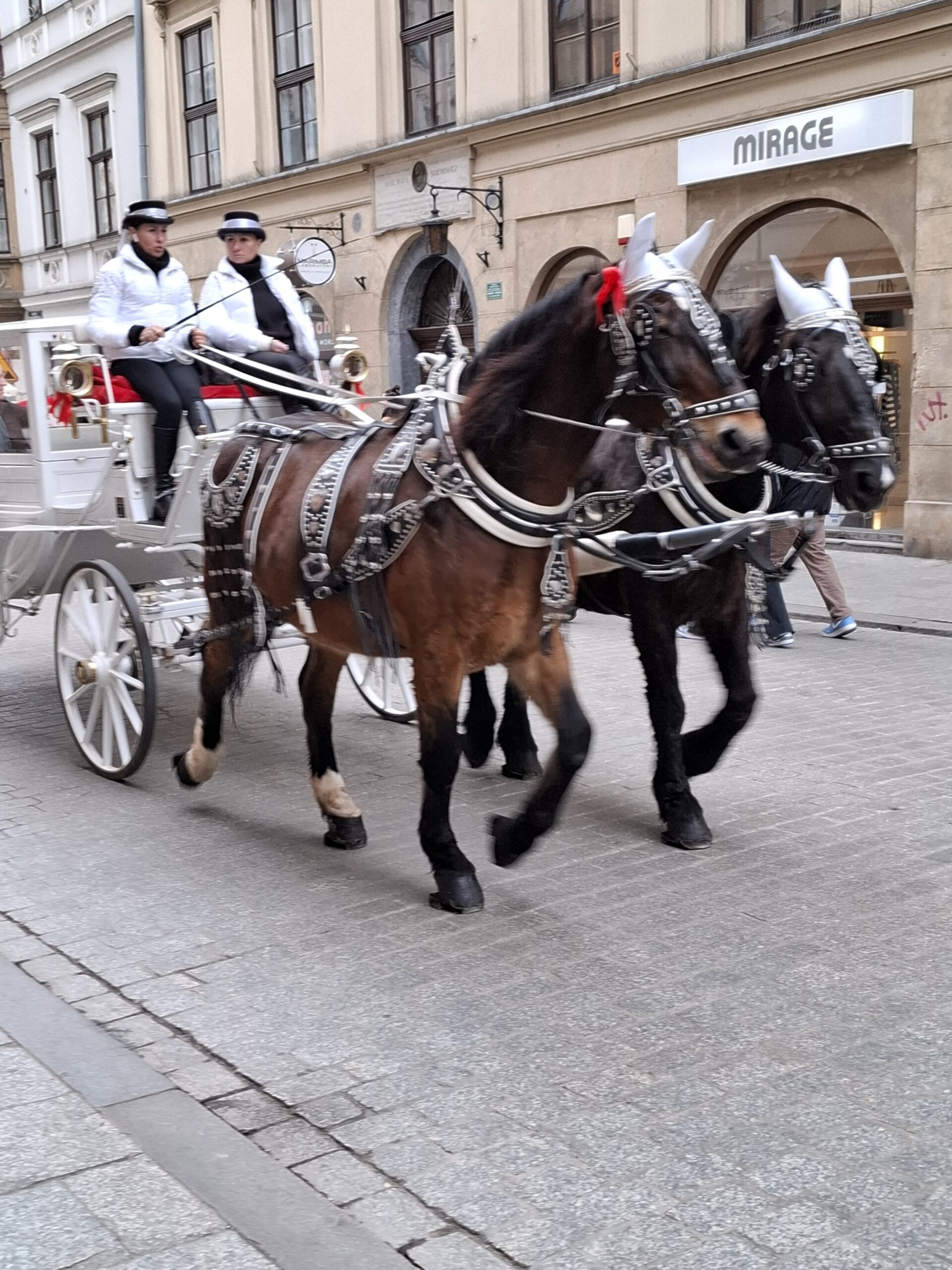 Krakow – European Safety and Reliability Conference ESREL 2024